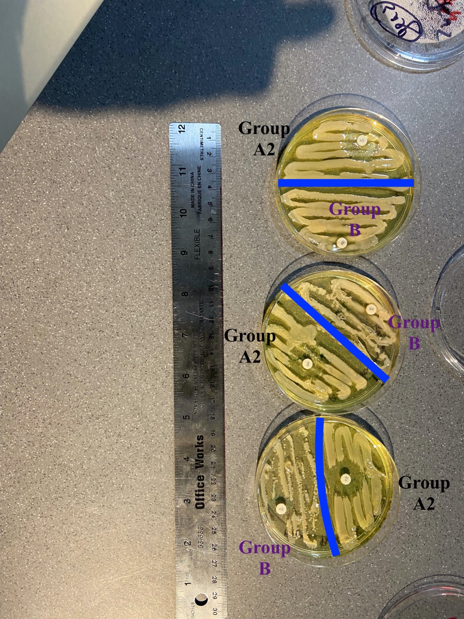 PC-fig-3
